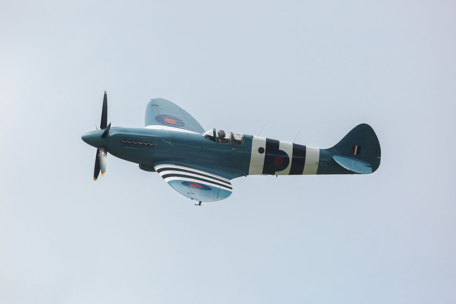 Spitfires over semi-finals at Henley Royal Regatta - Henley Royal Regatta